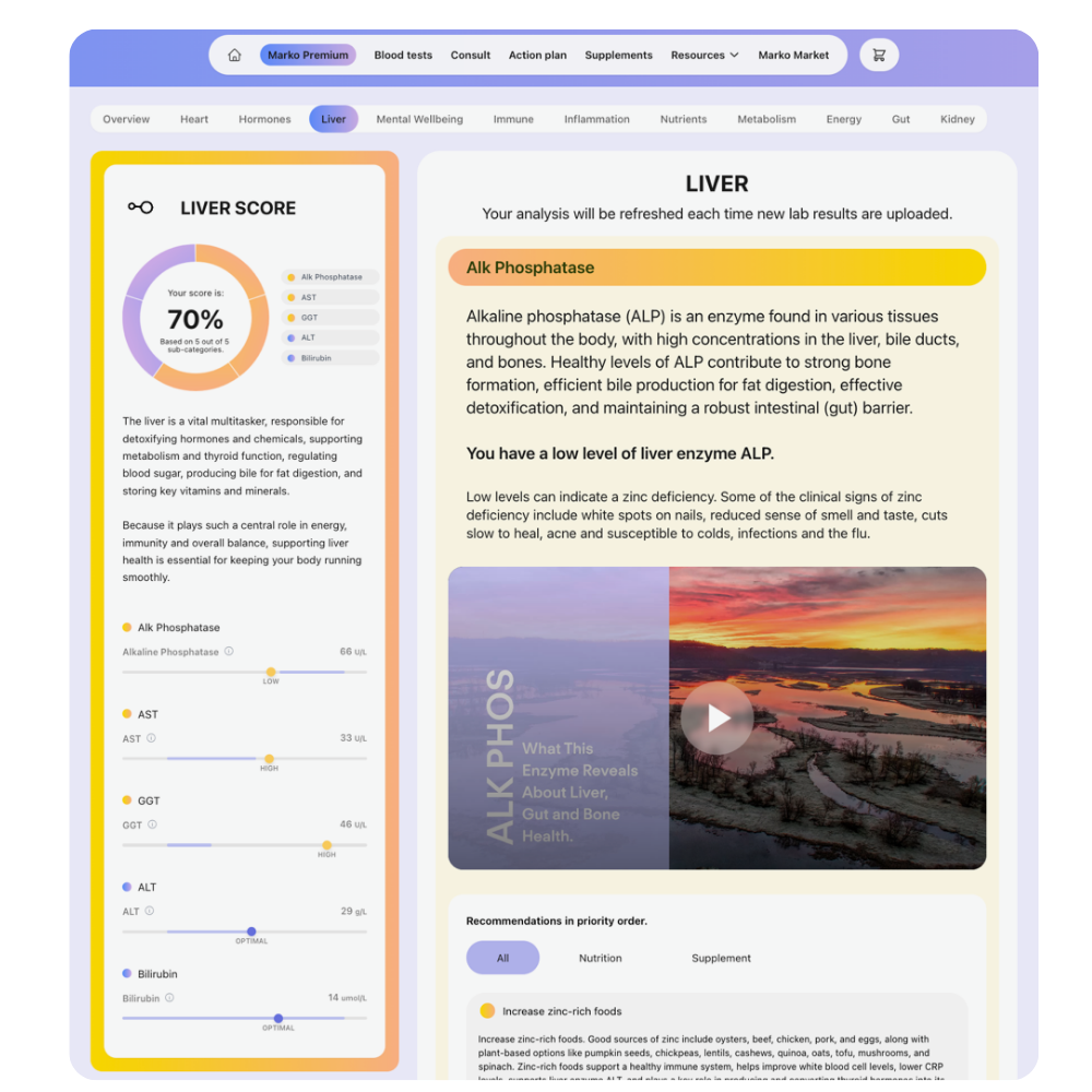 Marko - Marko Premium - Personalised Blood Test Analysis